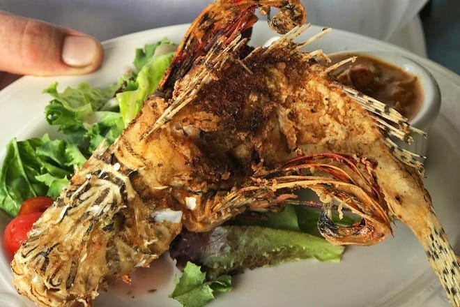 chef michael&rsquo;s