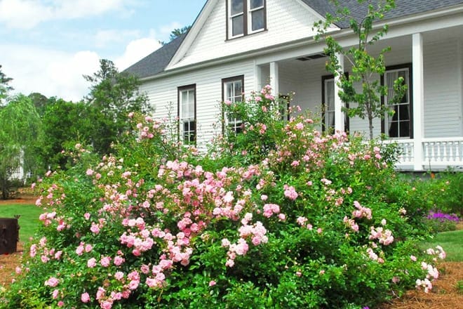 columbus botanical garden