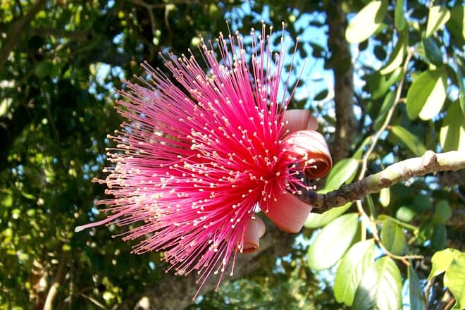 crane point nature center