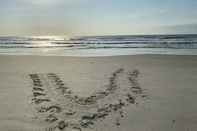 cumberland island national seashore &mdash; st. marys