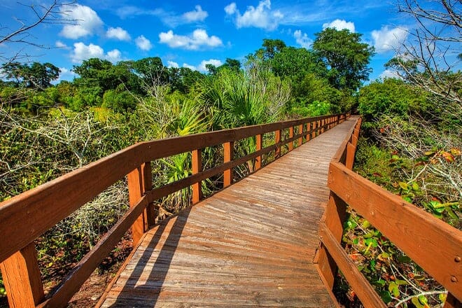 daggerwing nature center