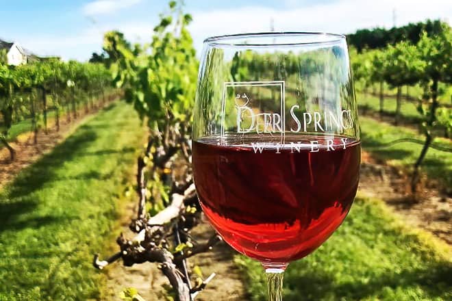 deer springs winery