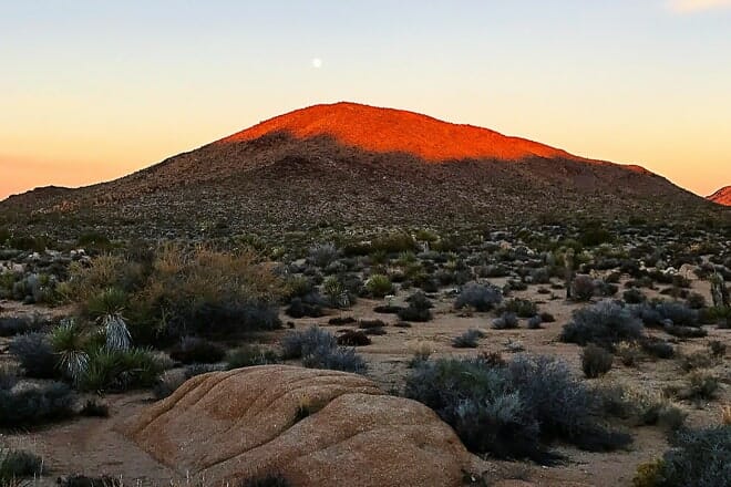 desert queen mine trail