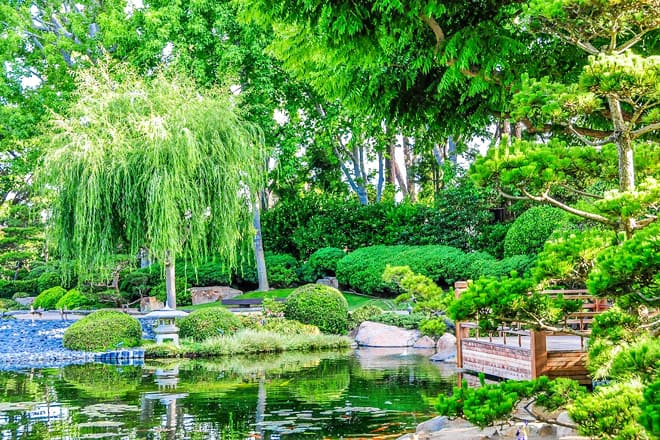 Earl Burns Miller Japanese Garden