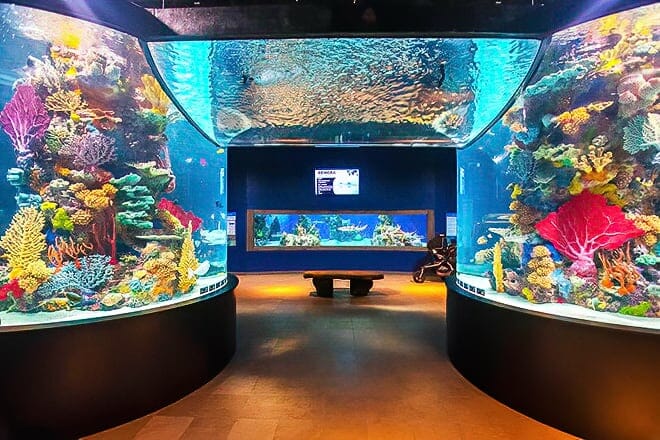 electric city aquarium & reptile den