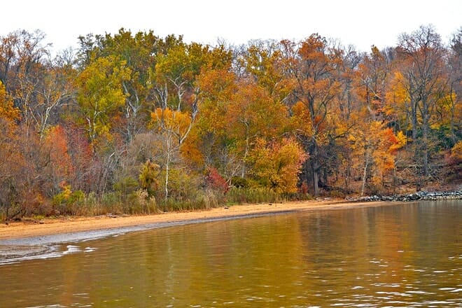 elk neck state park &mdash; north east