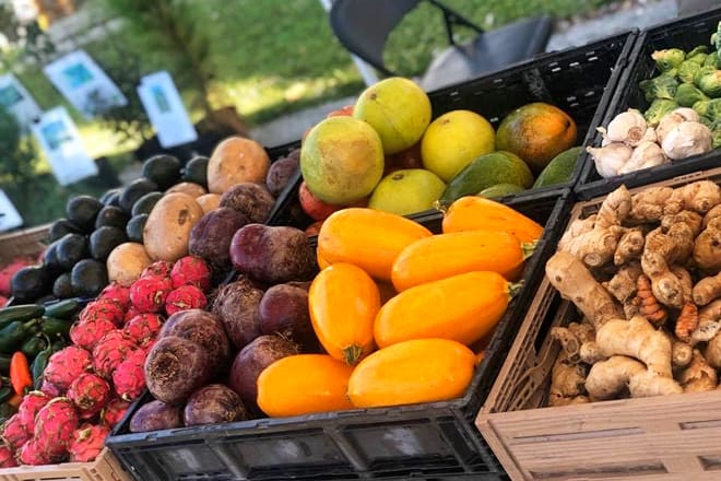 farmers market oceanside