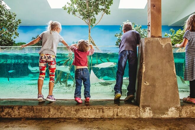 fort wayne children&rsquo;s zoo