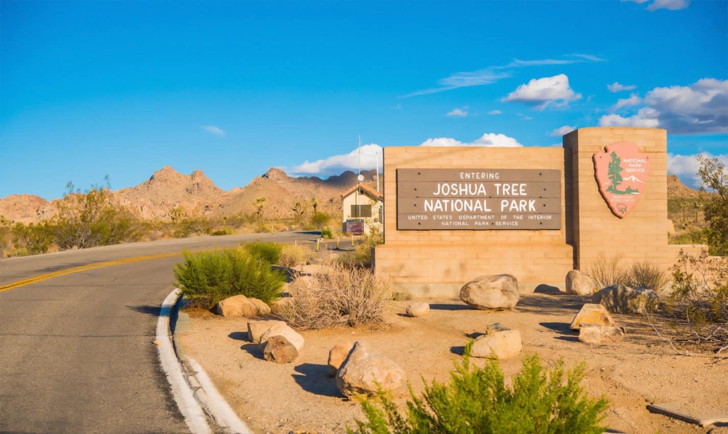 fun things to do in joshua tree with kids