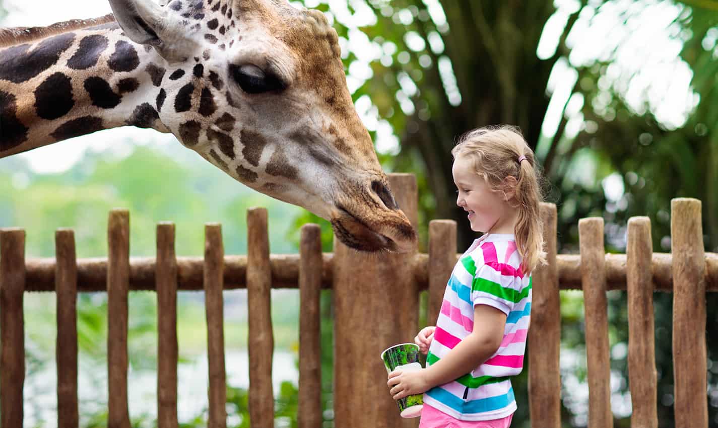 fun things to do in santa barbara with kids