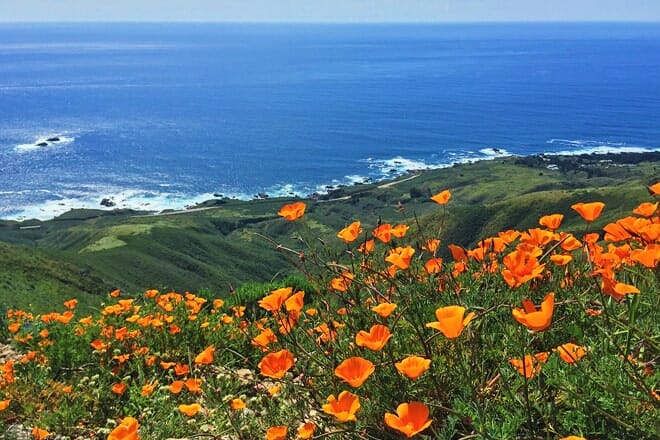 garrapata state park