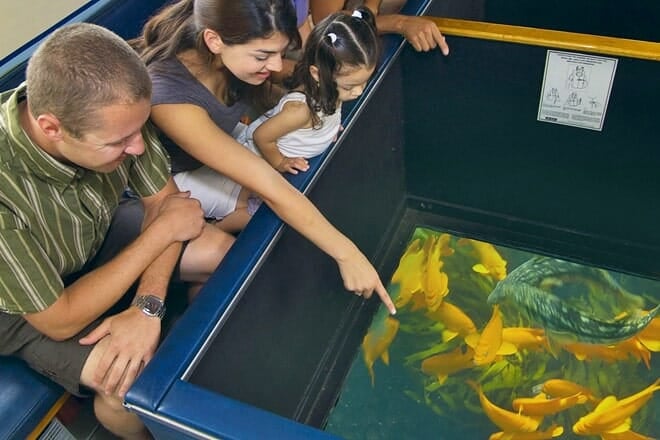 glass-bottom boat tour