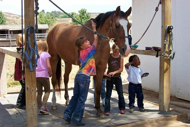 green acres ranch inc.