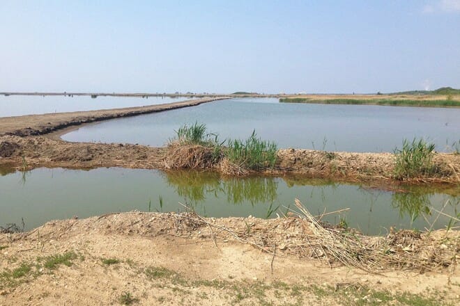 hart-miller island state park &mdash; kingsville