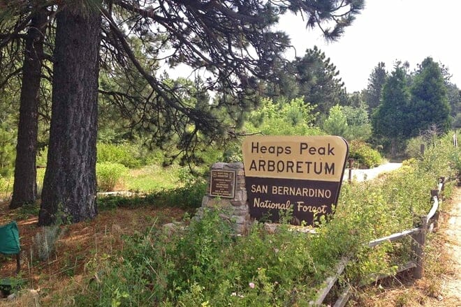 heaps peak arboretum