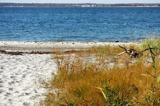 island beach state park &mdash; seaside park