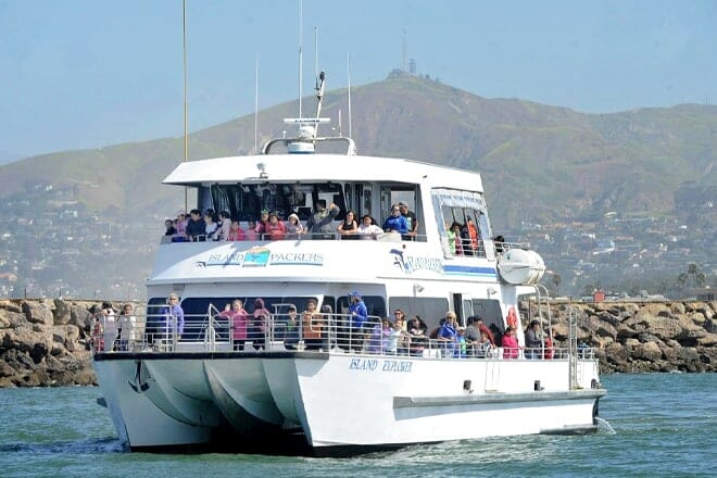 island packers cruises