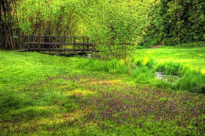 john a. finch arboretum