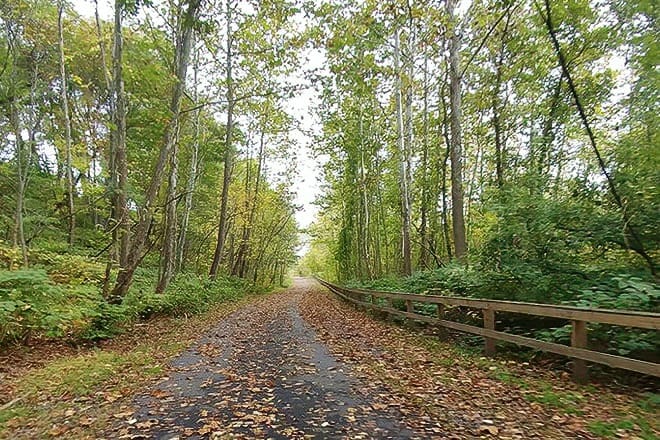 lackawanna river heritage trail