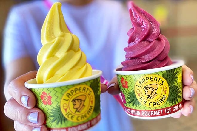 lappert's premium gourmet ice cream & dole whip