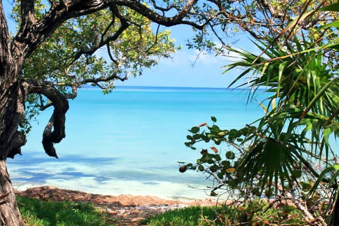 lignumvitae key botanical state park