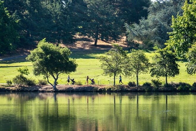 los gatos creek trail