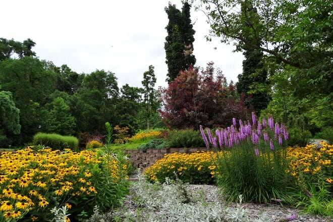 martin luther king jr. memorial at battle garden