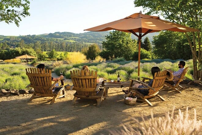 matanzas creek winery