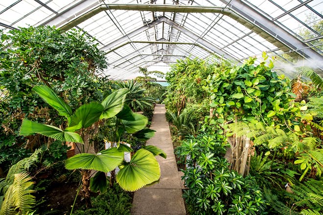 matthaei botanical gardens