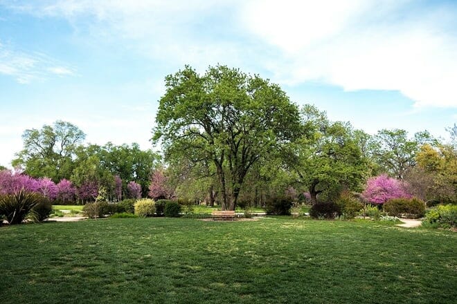 mcconnell arboretum and botanical gardens