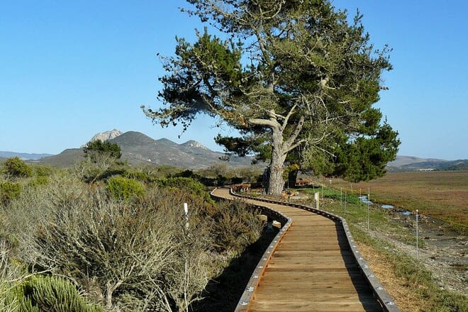 morro bay state park
