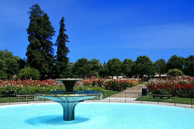 municipal rose garden