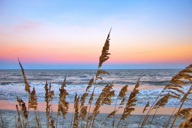 nanny goat beach &mdash; sapelo island