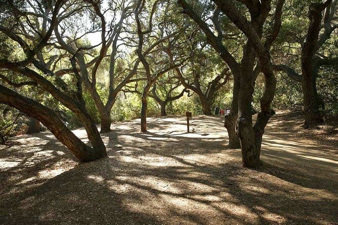 oak canyon nature center