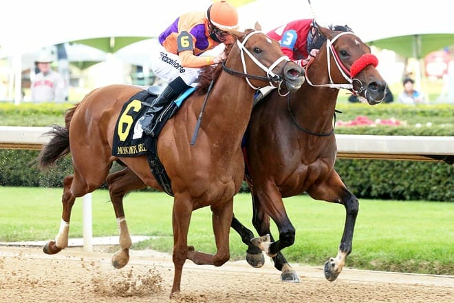 oaklawn racing casino resort