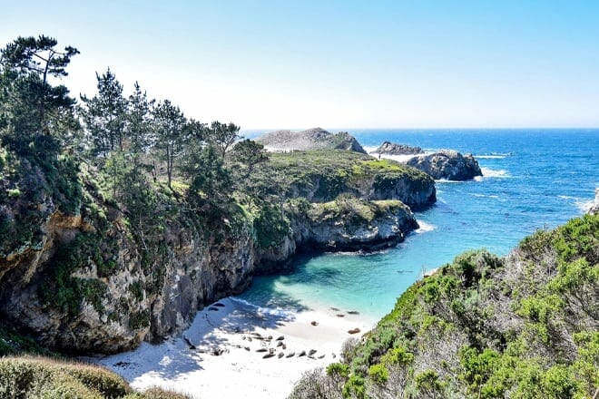 point lobos state natural reserve