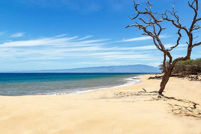 polihua beach — lanai