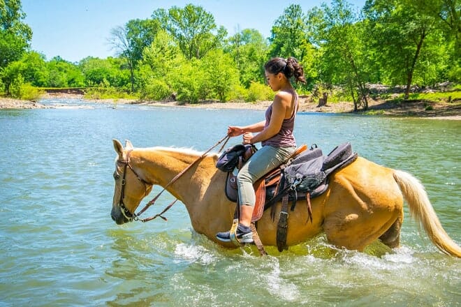 riverman trail rides