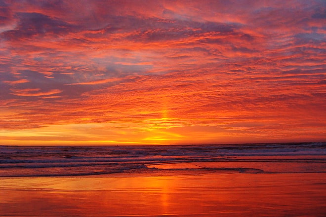 salinas river state beach