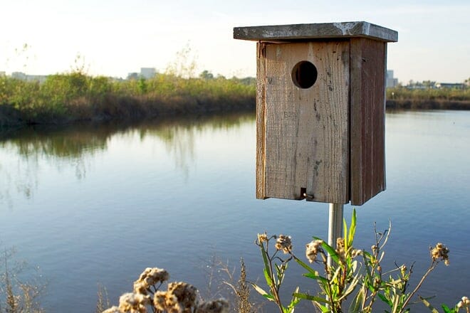 san joaquin wildlife sanctuary