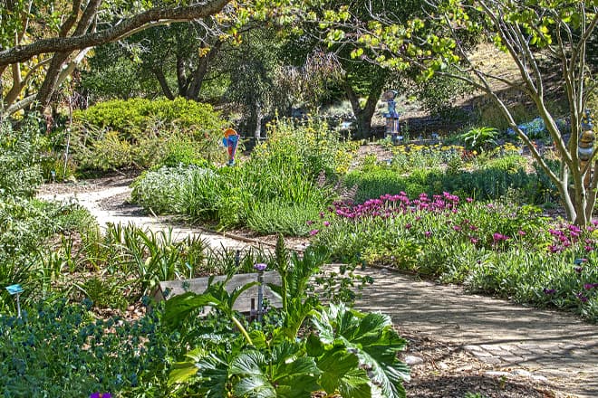 san luis obispo botanical garden