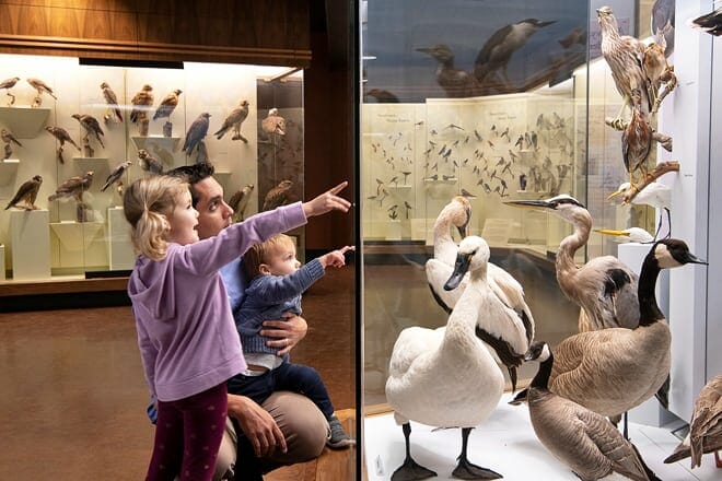 santa barbara museum of natural history