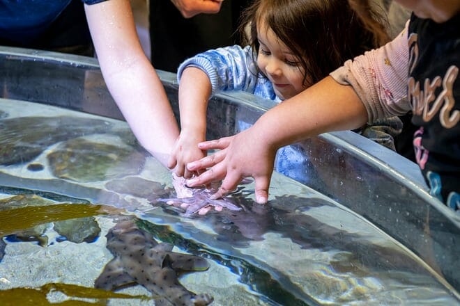santa barbara museum of natural history sea center