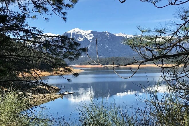 shasta-trinity national forest