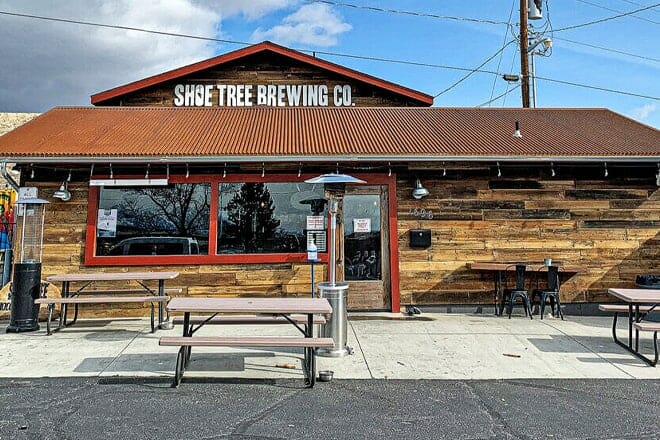 shoe tree brewing co.