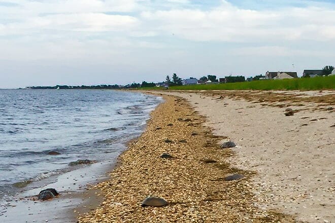 slaughter beach &mdash; slaughter beach