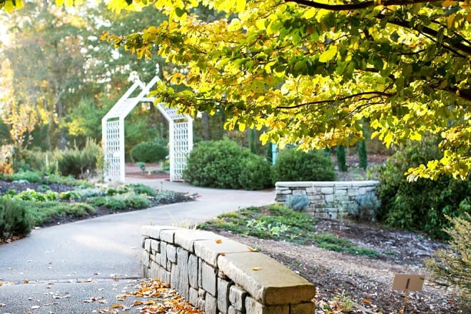 state botanical garden of georgia