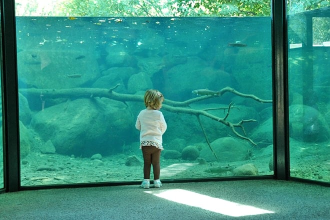 Taylor Creek Visitor Center