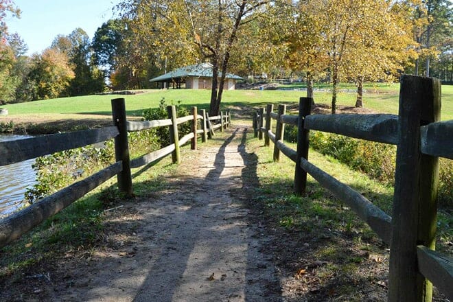 the bog garden at benjamin park