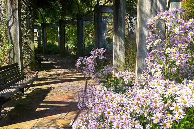 the greensboro arboretum